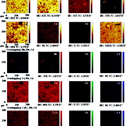 Untreated EL.Bt horizon.