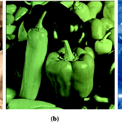 A novel image encryption technique using hybrid method of discrete dynamical chaotic maps and ...