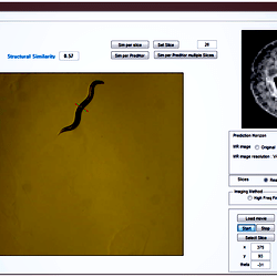Graphical user interface of a Matlab program that simulates the MR ...