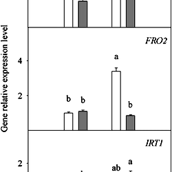 Gene relative expression level.