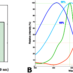 Compatibility of ChR2 and Calcium Orange.