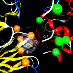 Graphic definition of shell structure model.