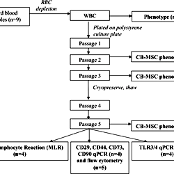 Schematic of experimental design.