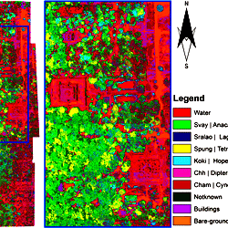 A Classification Map of Tree Species from Three-band Aerial Imagery.