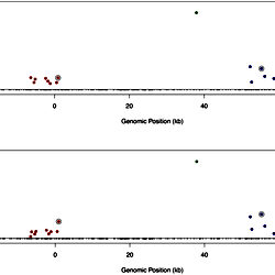 Comparison of fine mapping results of gene LY86 before and after ...