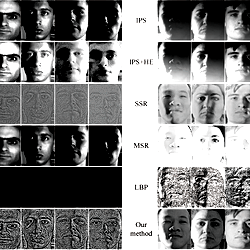 Comparison of different illuminant normalization methods for gray face ...