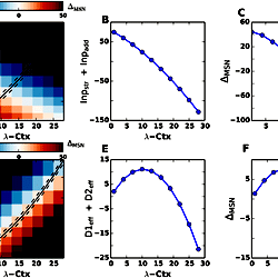 Mechanism of decision transition threshold.