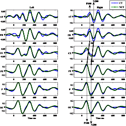 The pooled ERM5 responses.
