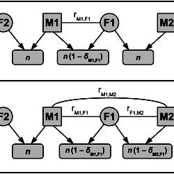 Conceptual models of biparental inbreeding.