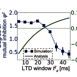 Correlation propagation shapes lateral connection structure.