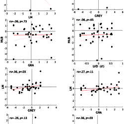 Inter- task correlation plots for MLB, LM, GREY and GRA task.