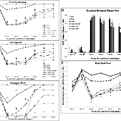Neurobehavioral assessments.