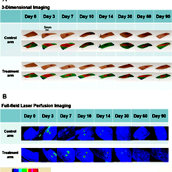 Images produced from the non-invasive imaging devices.