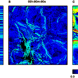 Effect of short-range guiding forces on cell movement patterns in a ...