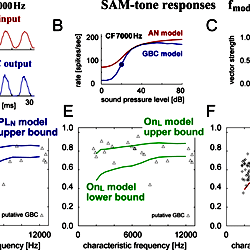 SAM-tone responses.