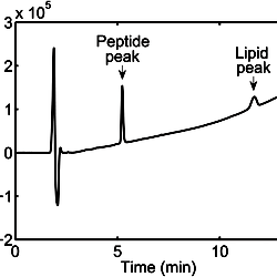 Example of HPLC chromatogram.