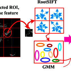 Steps for feature vector extraction.