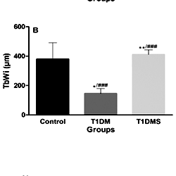 Histomorphometric analyses of structural bone architecture.