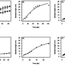 DEB model simulations against observed length for fish from various ...