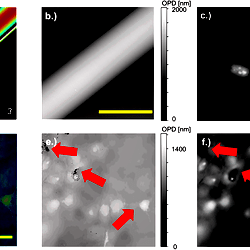Calibration and sample phase objects for the JL setup.