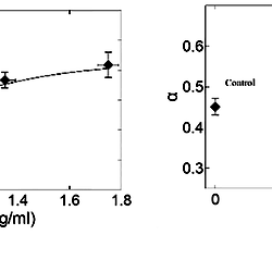 Estimation of membrane bending modulus of stiffness tuned human red ...