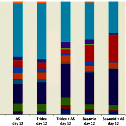 Composition of active bacteria.