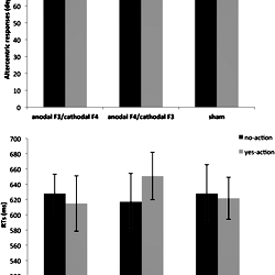 Visual Perspective Taking.