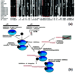 Representative biomedical figures and their texts.