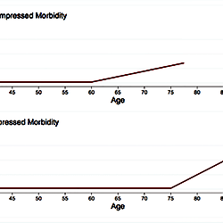 Compression of morbidity.