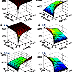 Illustration of the role of the model parameters.