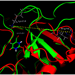 Comparison of loop structures.
