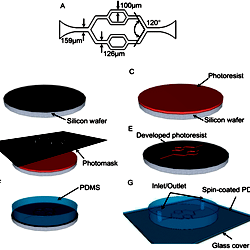 The schematic design and fabrication procedures for the microfluidic ...