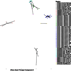 Convex clustering of the HGDP data using a small number k of nearest ...