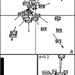 Co-inertia (CIA) analysis of the relationships between microbial ...