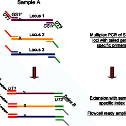 Illustration of universal tail approach.