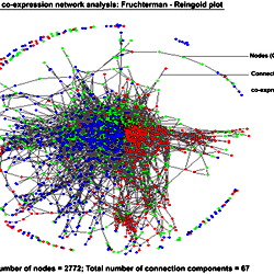 Three group comparison and co-expression network analysis.