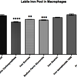 Labile Iron Pool assessment of rat peritoneal macrophages through ...