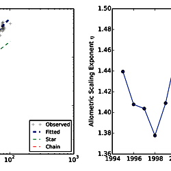 Estimation of the allometric scaling exponent η.