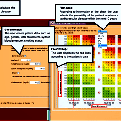 A screenshot of a risk chart of the Cardiovascular Risk section.
