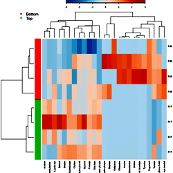 Heatmap visualization.