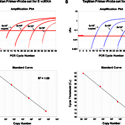 Validation of TaqMan primer-probe sets.