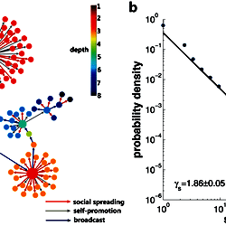 The diffusion trees in LJ community.