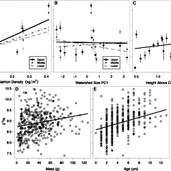 Correlates of soft-shell clam muscle tissue δ15N.