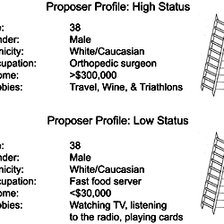 Sample participant information screen for the sham “online partner” of ...