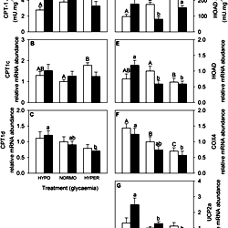 Activities of CPT-1 (A) and HOAD (D), and mRNA abundance of CPT1c (B ...