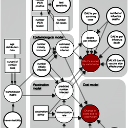 Schematic illustration of analytic framework.