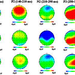 Topographical maps of voltage amplitudes of N1, P2, N2, P3 and LPP ...