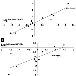 Verification of differentially expressed genes in DT vs. CT group (A ...