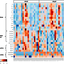 Heat map of metabolomic differences between HFpEF and HFrEF.