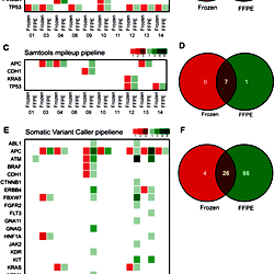 Comparison of different methods for variant calling.